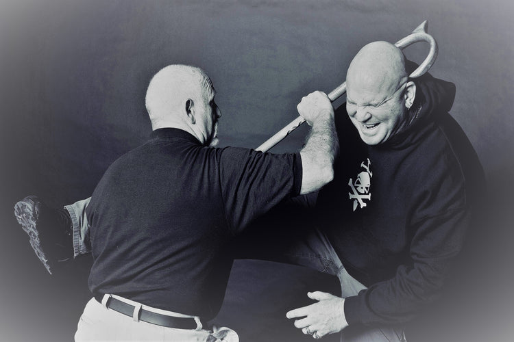 American Cane System – The American Cane System (TACS)